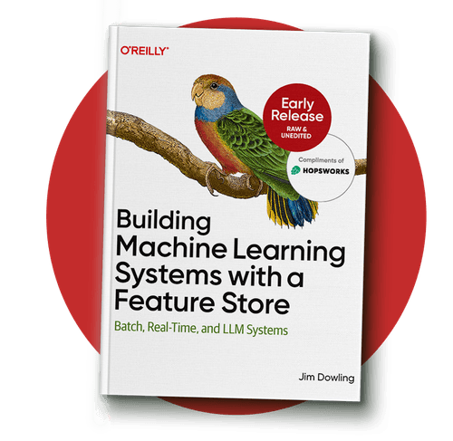 Full Book; O'Reilly - Building Machine Learning Systems with a Feature Store Copy